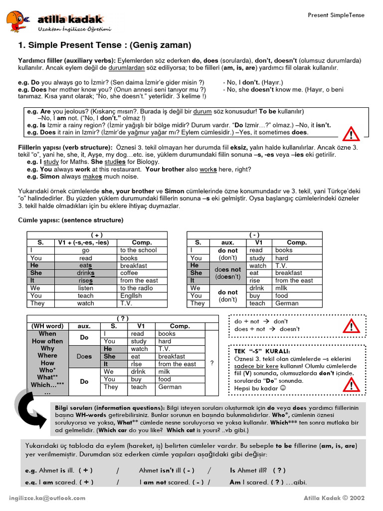 (C) 1 Present Simple Tense | PDF