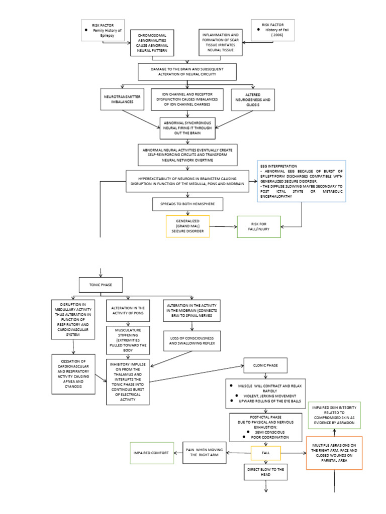 Final Pathophy | PDF | Epilepsy | Neuron