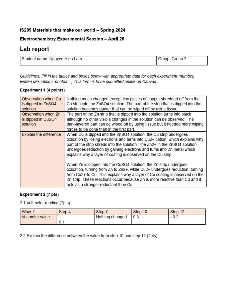 Electrochemistry Lab Report 2024 | PDF | Anode | Cathode