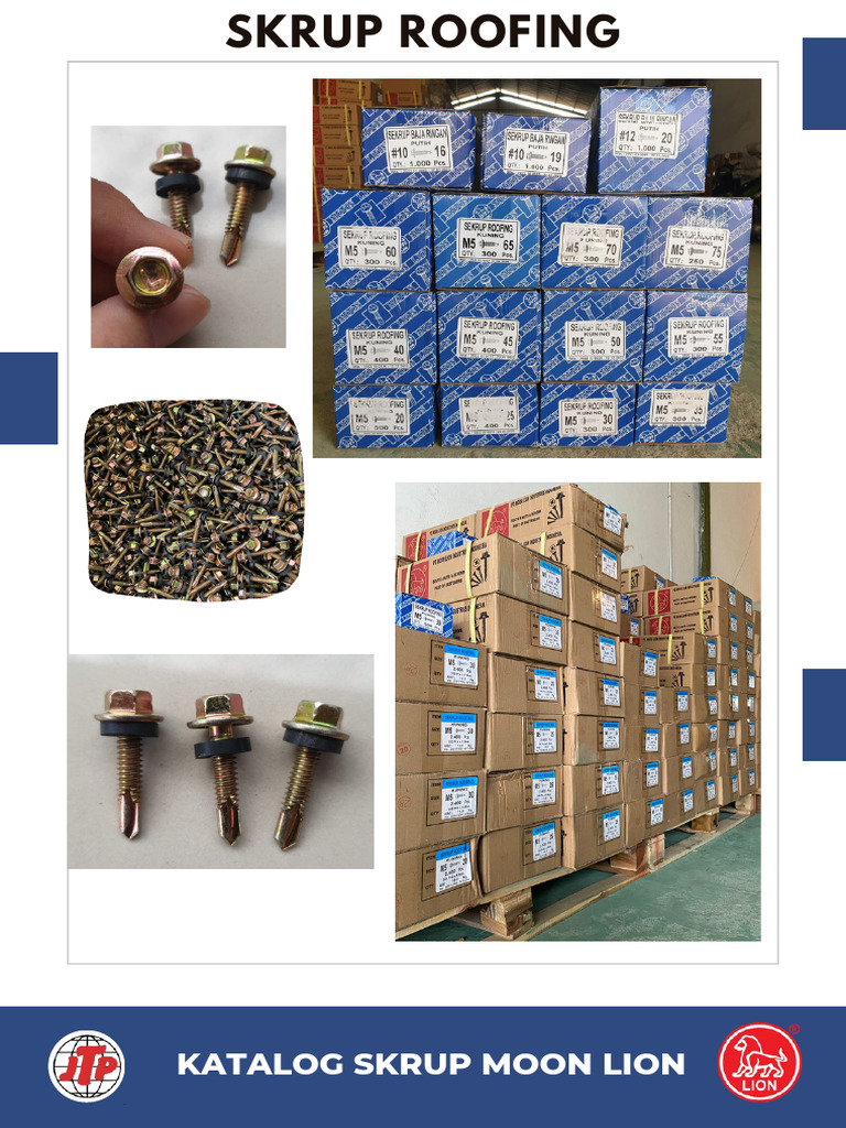 Moon Lion Screw Catalog | PDF
