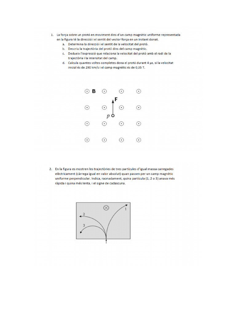 Exercicis Extra Magnetisme | PDF