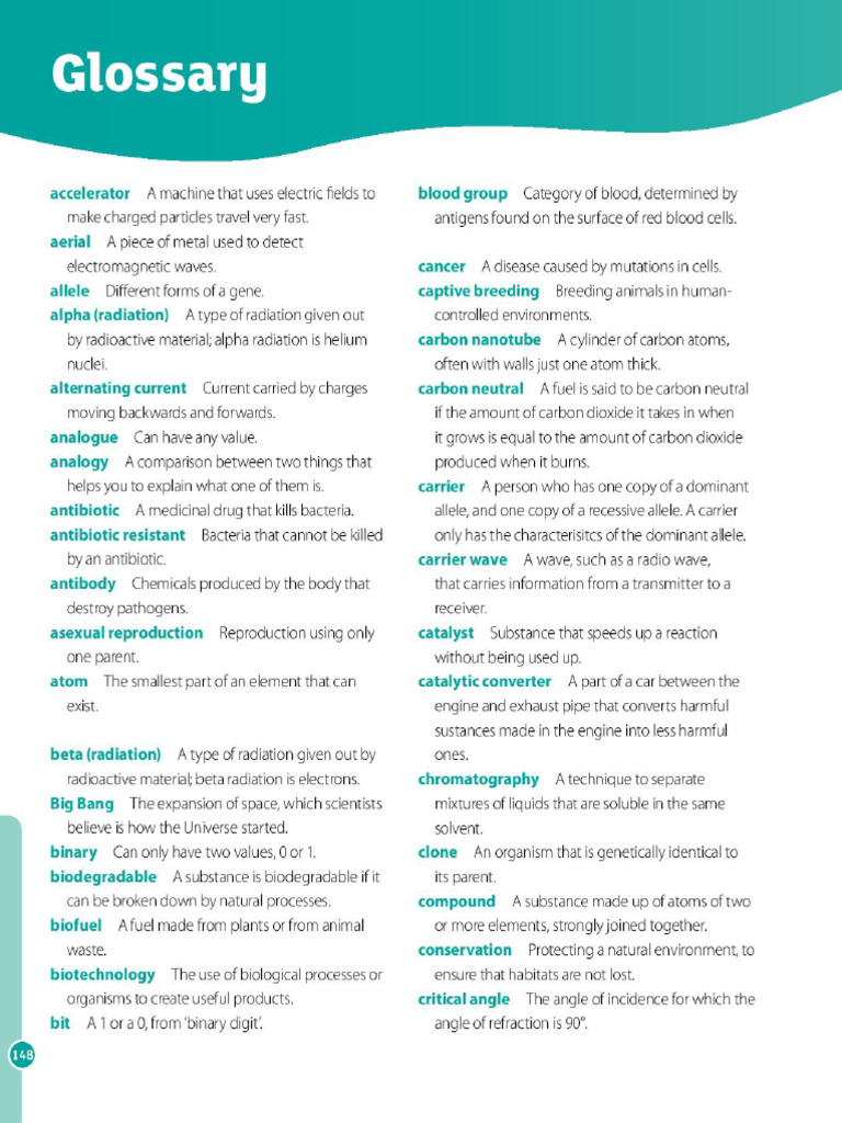 Year 9 Glossary | PDF