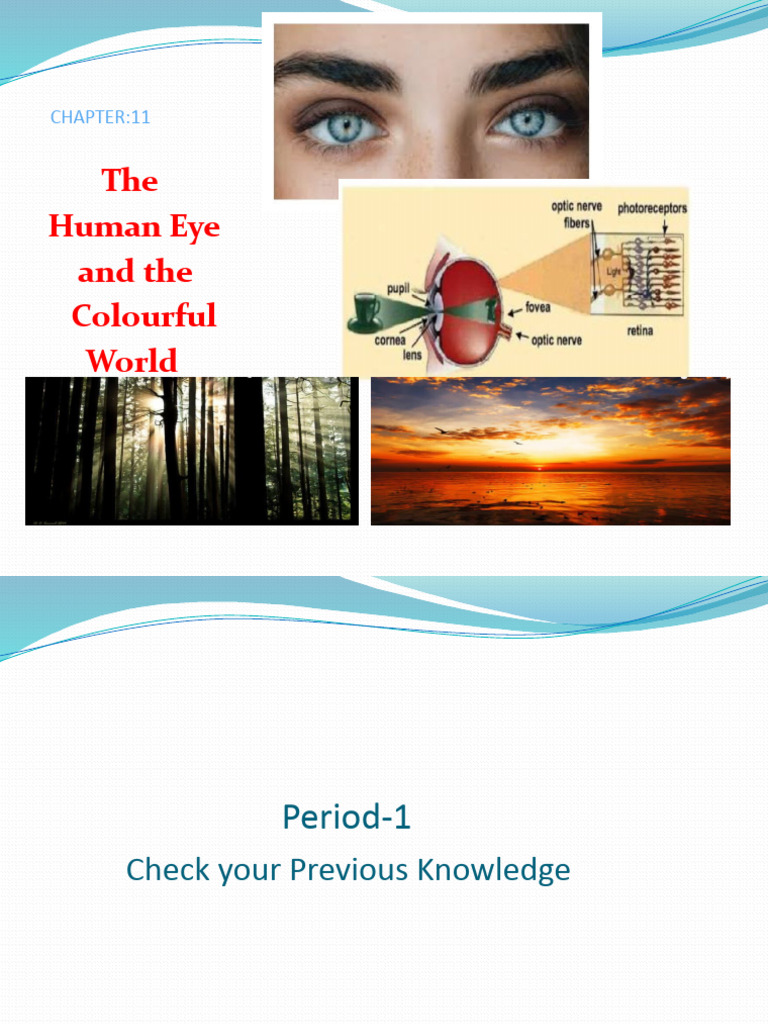 Human Eye and Vision Mechanics | PDF | Eye | Refraction