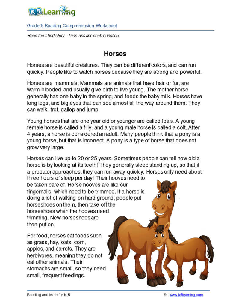 5th Grade 5 Horses | PDF | Horses | Zoology