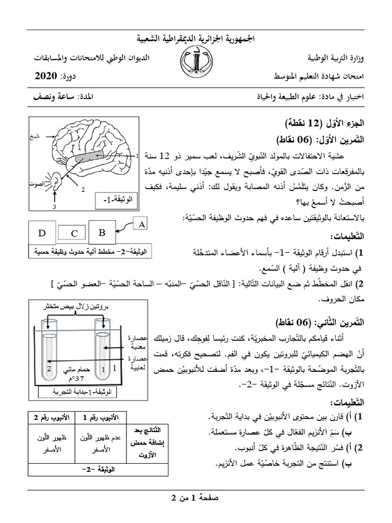Dzexams Bem Sciences Sujet 20201 446487 | PDF