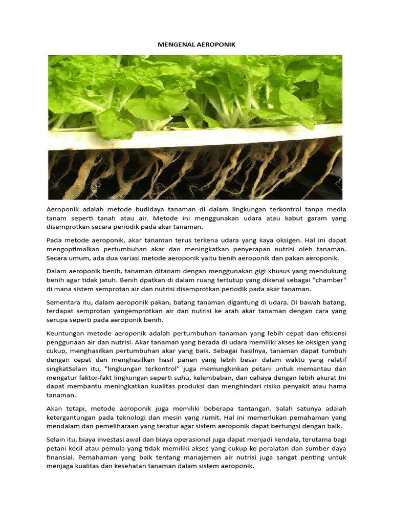 Keunggulan dan Tantangan Aeroponik | PDF | Teknologi & Rekayasa