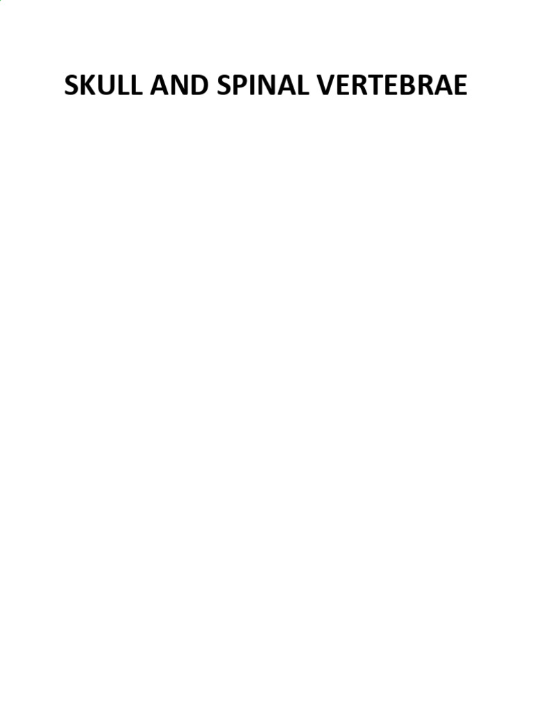 Bones Ana Lab Compilation Pdf