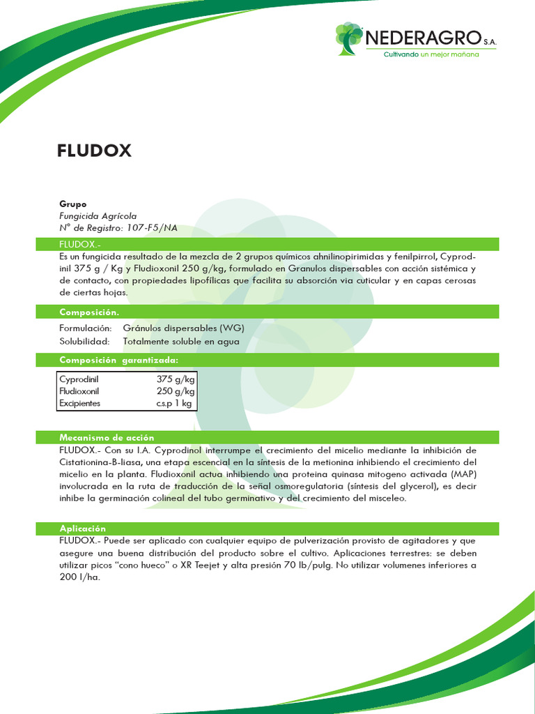Fludox | PDF | Agua