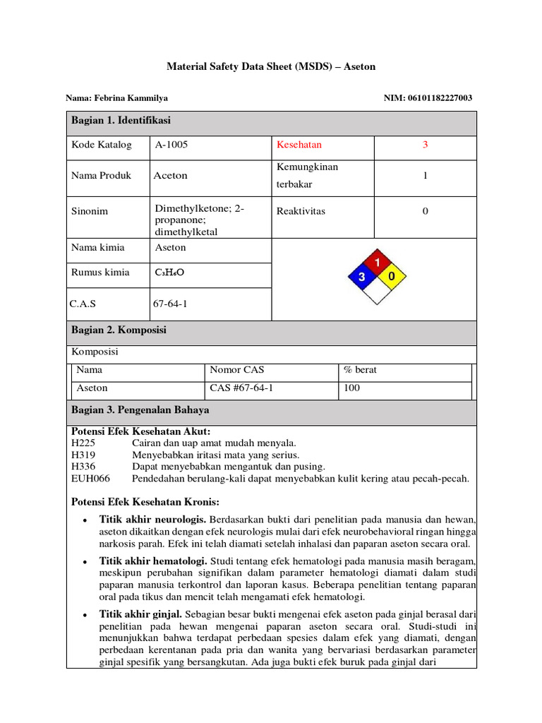 MSDS Febrina Aseton | PDF