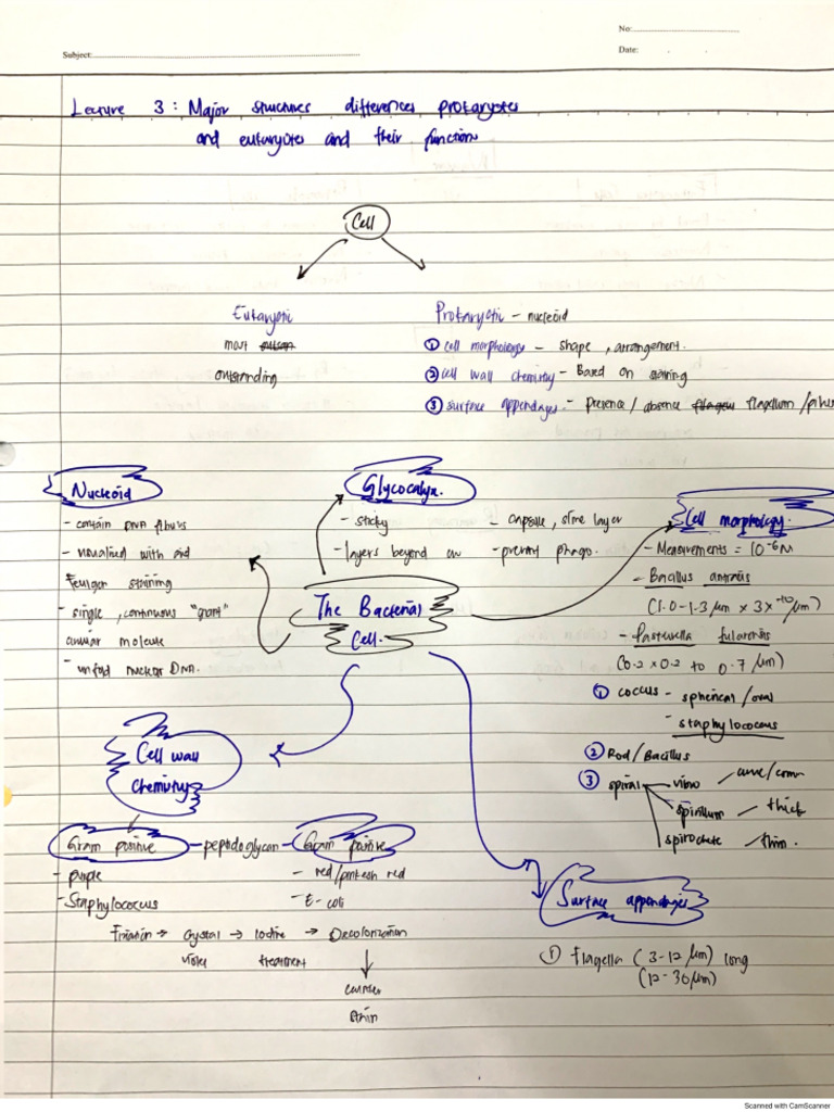 Micro Bio Assignment Pdf