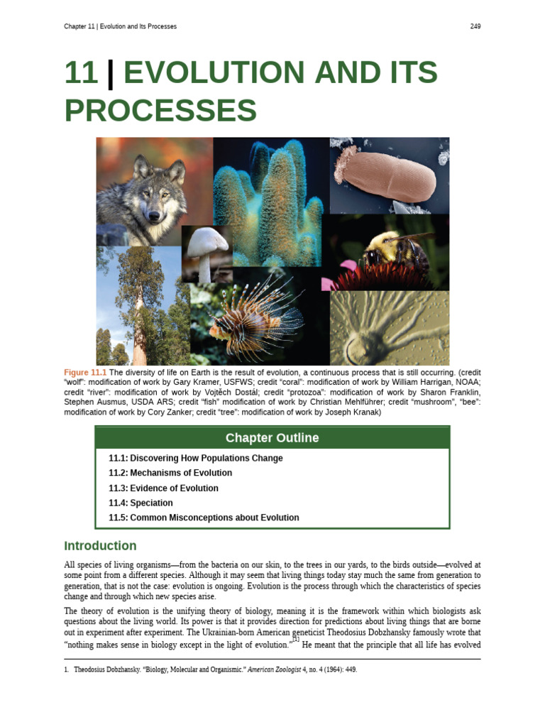 Evolution Chapter - Concepts of Biology | Download Free PDF | Evolution | Natural Selection