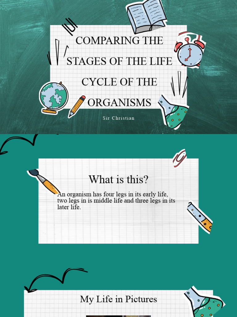Comparing The Stages of The Life Cycle of The Organisms | PDF | Pupa ...