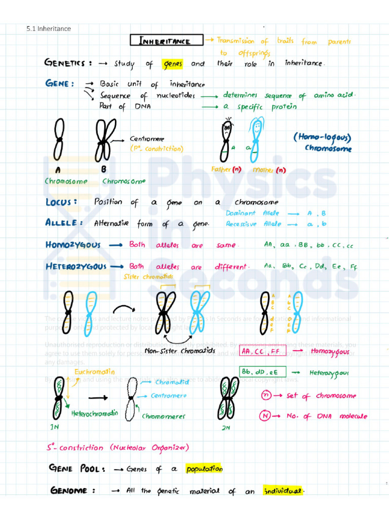 3.1 - Inheritance & Basic Terms | PDF