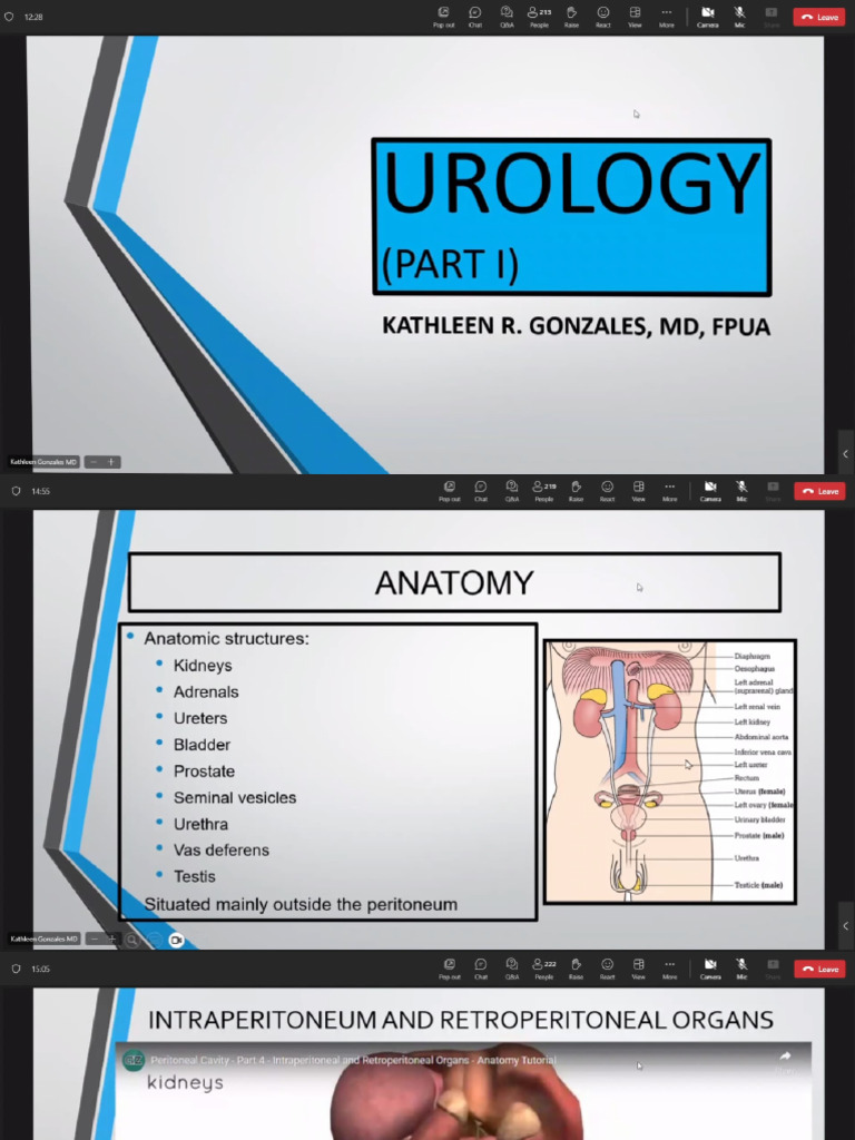 Urology Part 1 | PDF | Testicle | Kidney