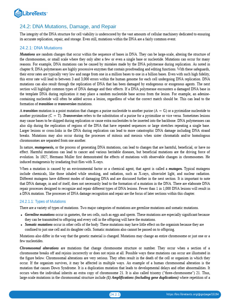 24.02 - DNA Mutations Damage and Repair | PDF | Cell Cycle | Dna Repair