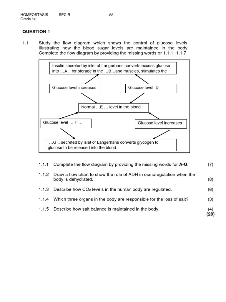 7-Gr 12 HOMEOSTASIS SEC B | PDF | Homeostasis | Physiology