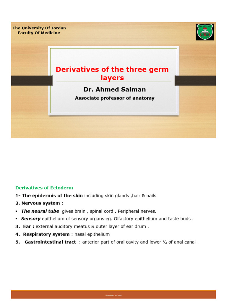 Derivatives of Three Germ Layers 2024 | Download Free PDF | Human Anatomy | Anatomy