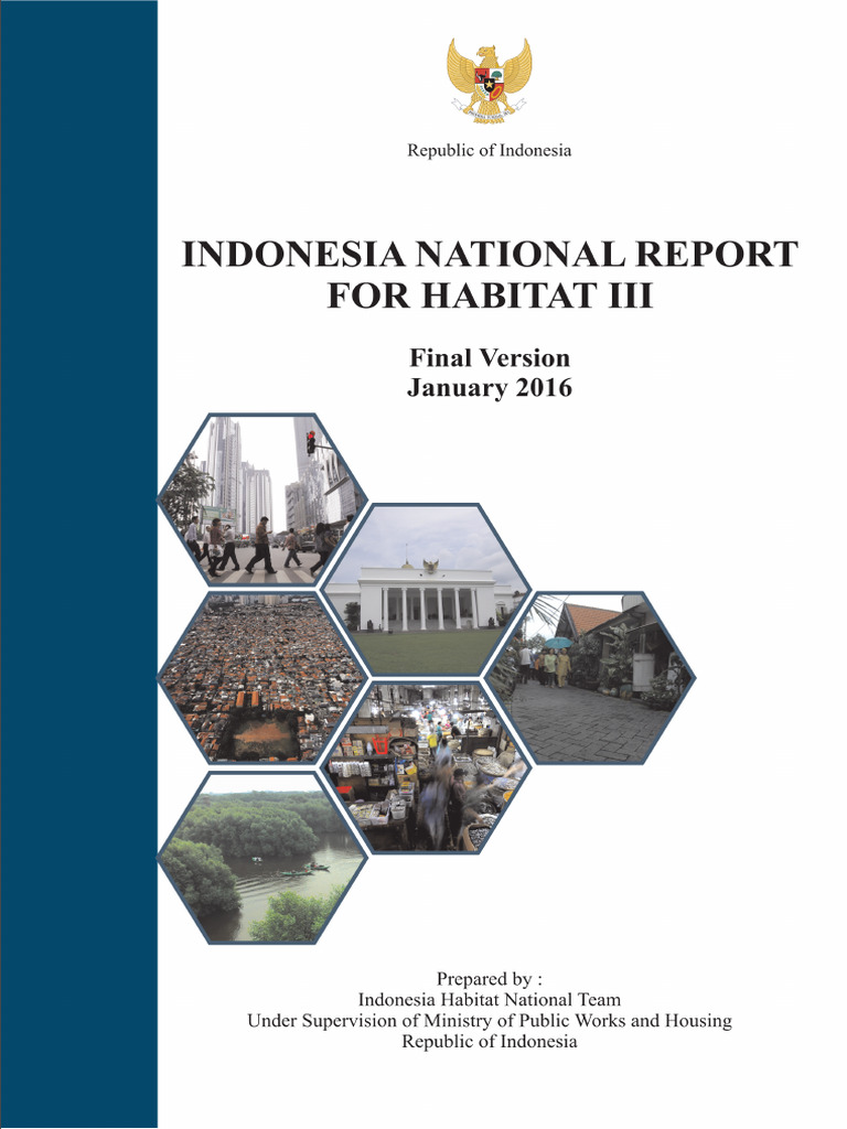 National Report INDONESIA | PDF | Sustainability | United Nations Human ...