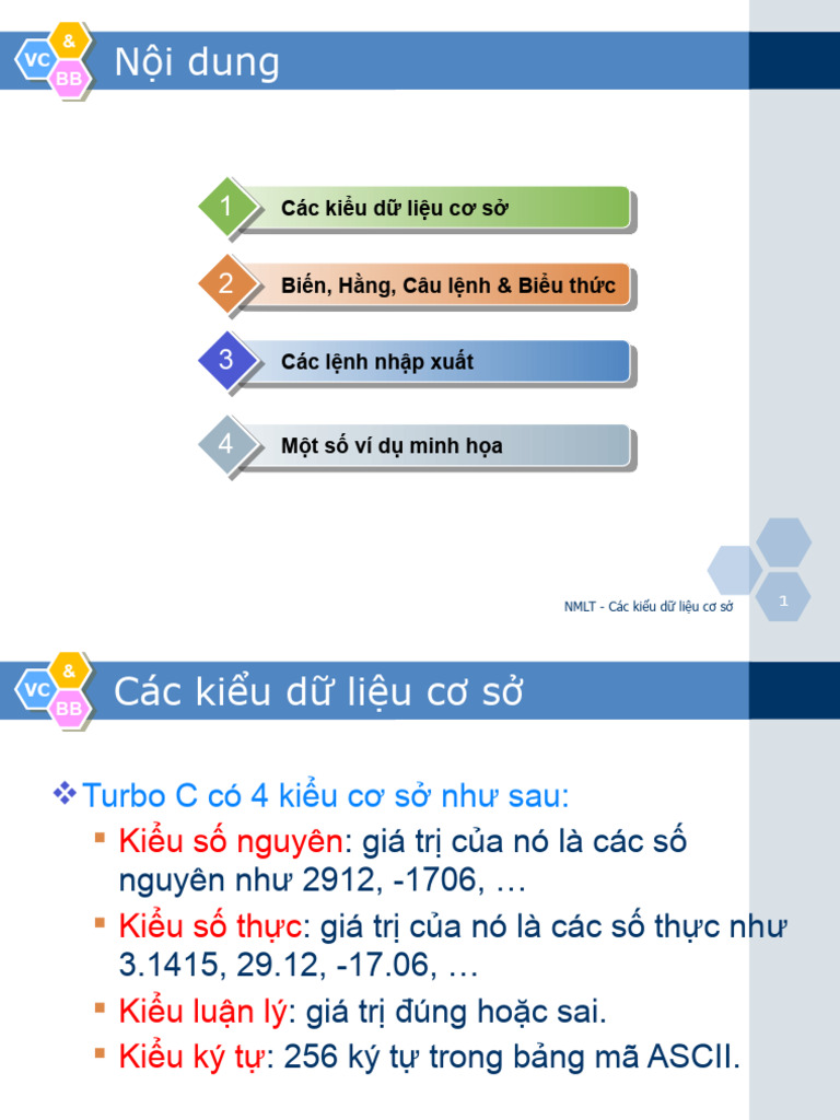 NMLT C03 CacKieuDuLieuCoSo | PDF