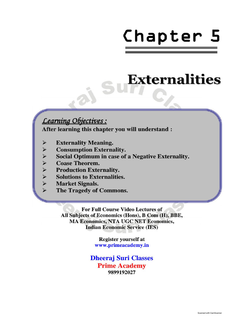 Chapter 5 Externalities | PDF