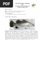 Saltwater Fish Names in Tagalog | PDF | Language Arts & Discipline ...