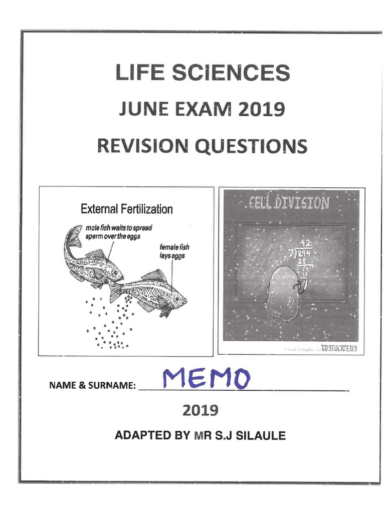 Exam Revision Guide Memo | PDF
