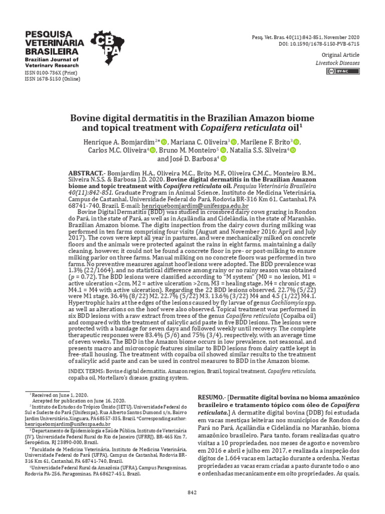 Bovine Digital Dermatitis in Amazon Cattle | PDF | Cattle | Dairy Cattle
