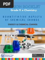 Chemical Equilibrium Notes Grade12 | PDF | Reaction Rate | Chemical ...