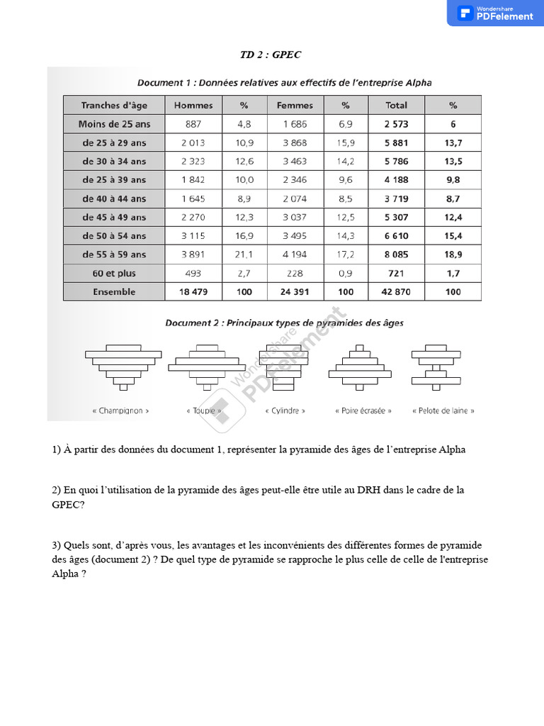 Pyramide des âges et GPEC en entreprise | PDF | Gestion des ressources ...