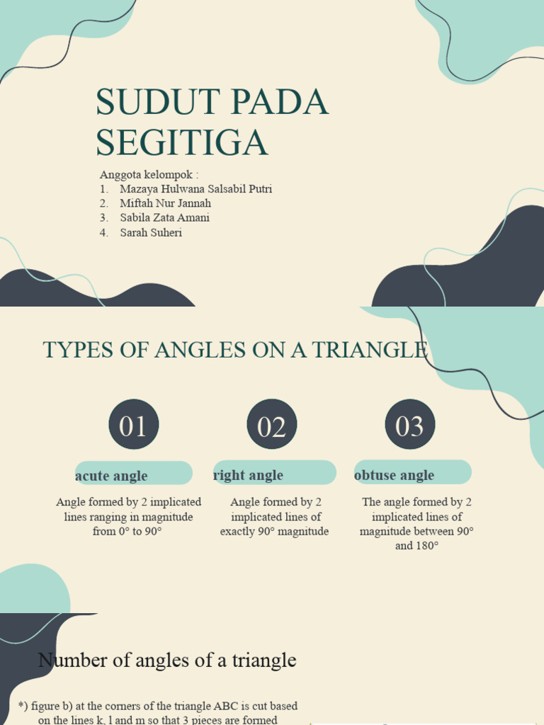 Types of Angles in Triangles | PDF