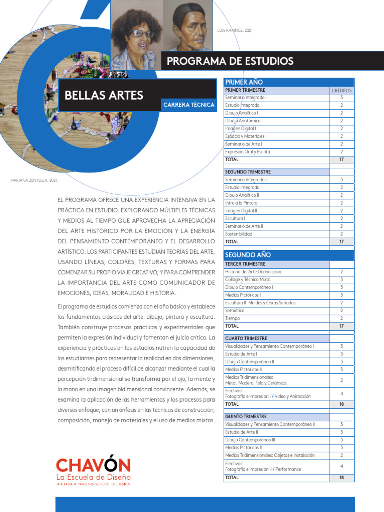 Pensum Bellas Artes | PDF | Dibujo | Imagen