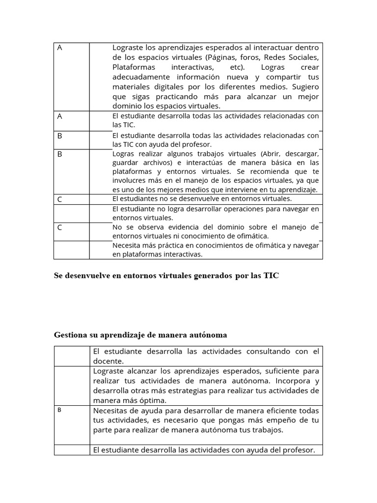 CONCLUSIONES DESCRIPTIVAS TIC | PDF