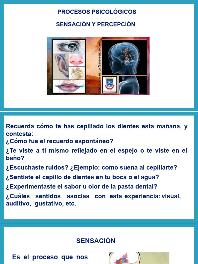 Sensación y percepción | PDF | Percepción | Sentidos