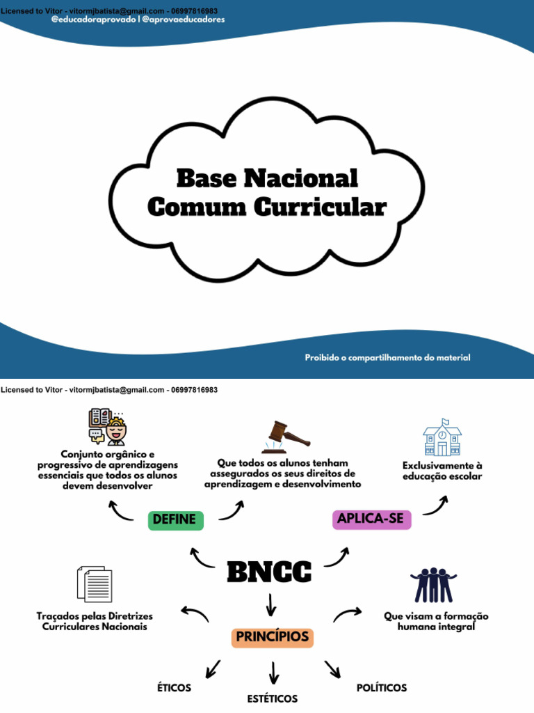 Mapa BNCC | PDF