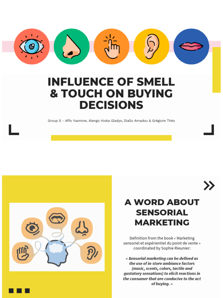 S Smell and Touch | Download Free PDF | Perception | Somatosensory System