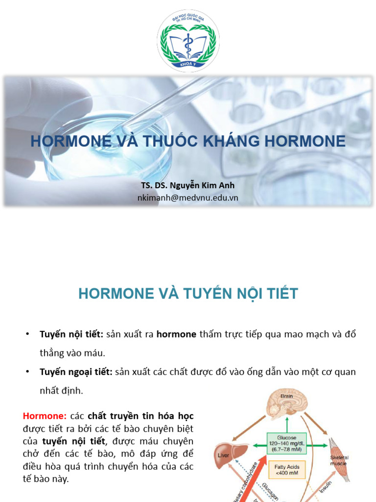 Dược Lý Hormone | PDF