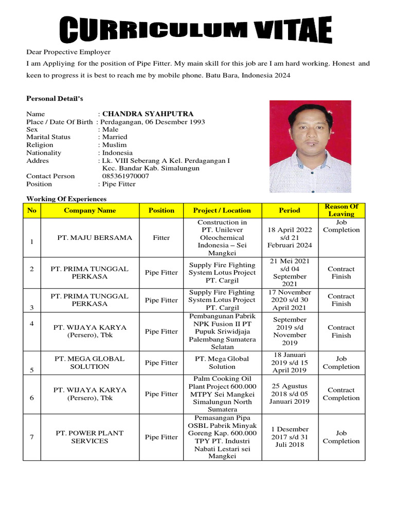Curriculum Vitae Chandra Syahputra | PDF