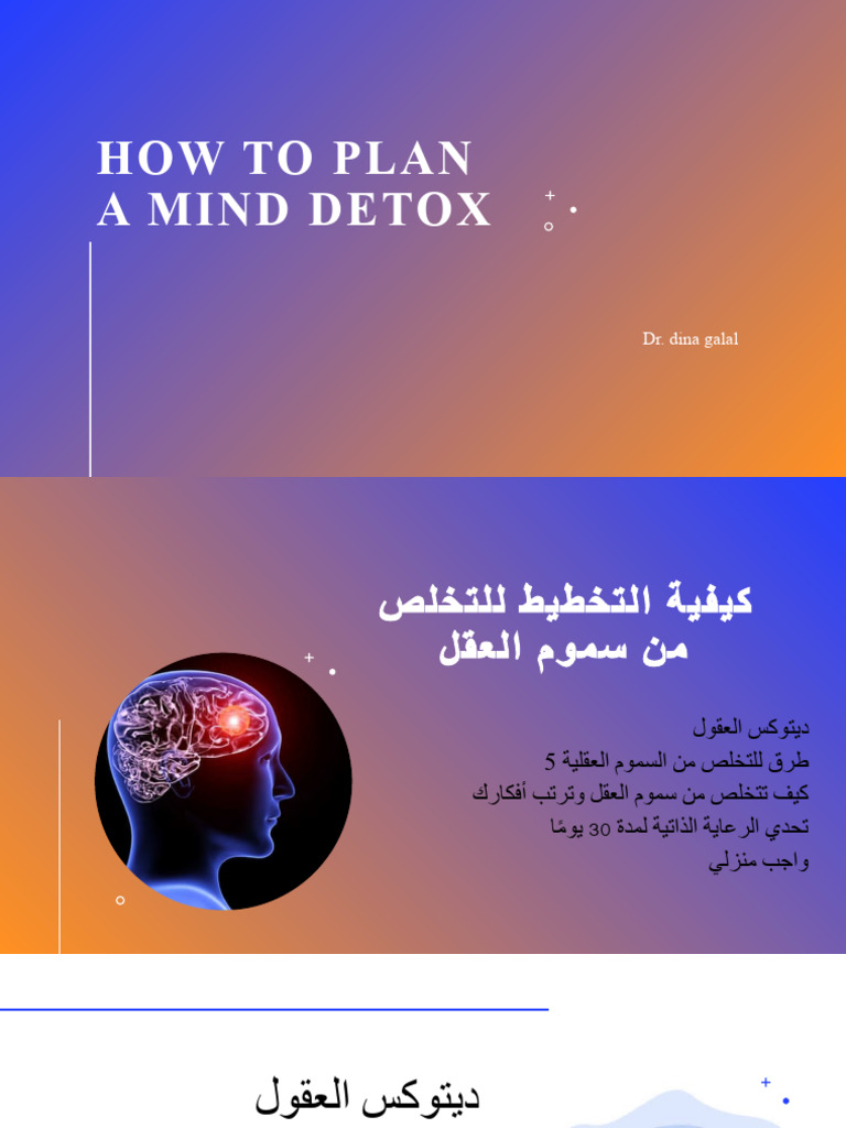 Mind Detox | PDF