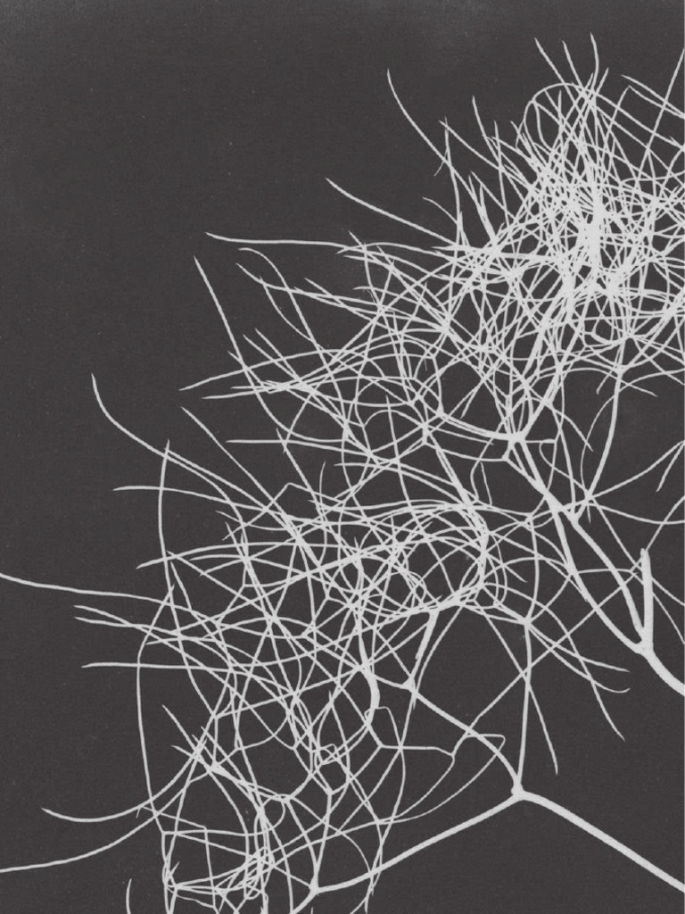 On The Singularity of Early Photography | PDF | Inductive Reasoning | Image