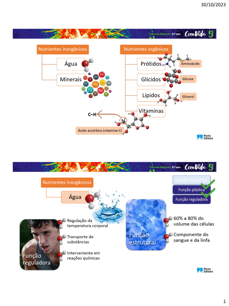 Nutrientes Orgânicos e Inorgânicos | PDF | Nutrientes | Vitamina