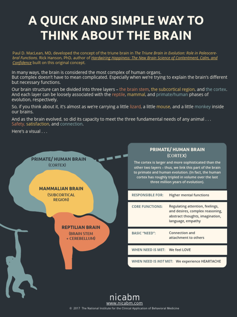 NICABM Brain Infographic | Download Free PDF | Brain | Cerebellum