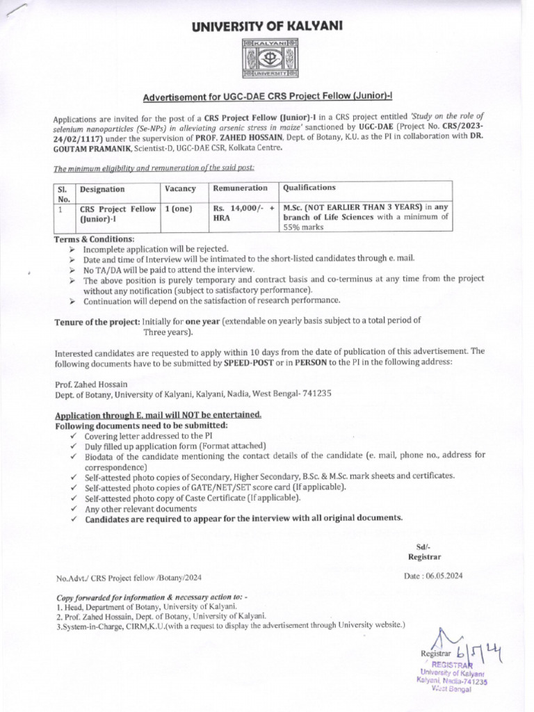 Advertisement 2 | PDF