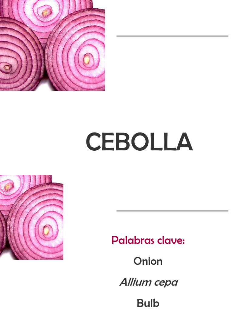 Cebolla | PDF | Cebolla | Plantas