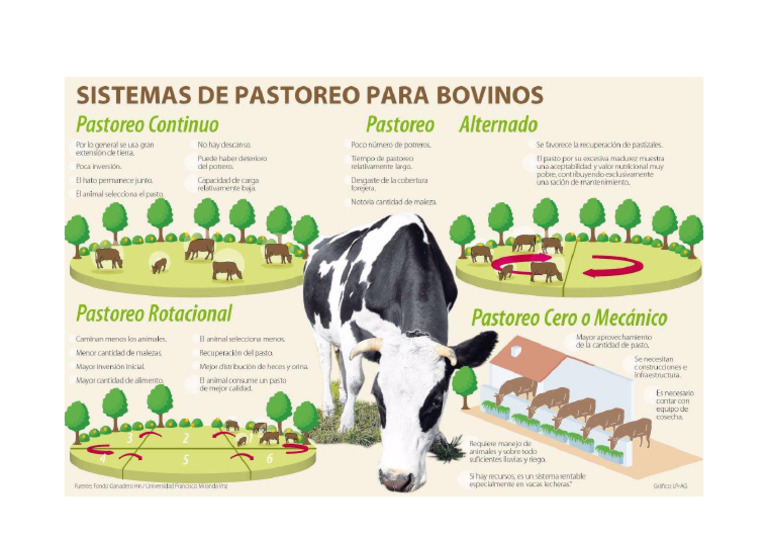 PASTOREO BOVINOS. Esquema. | PDF