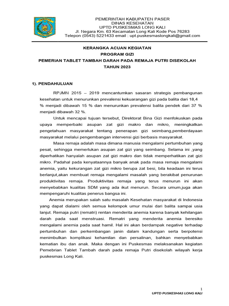 KAK TTD Pada Remaja Putri Disekolah | PDF