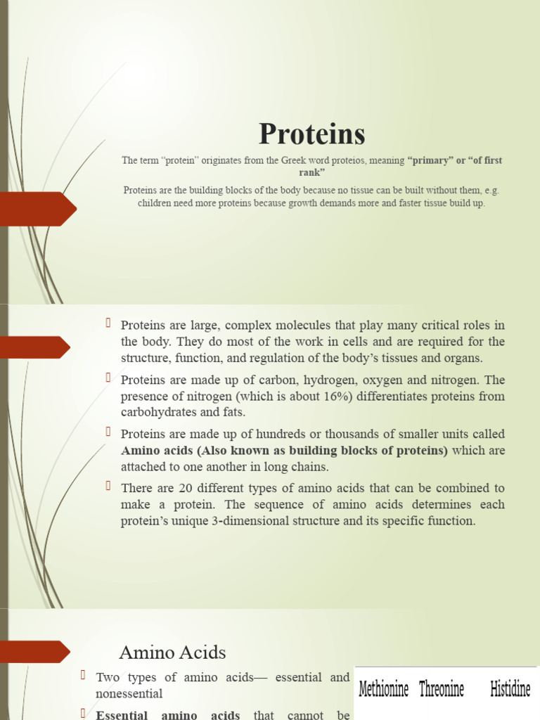 Proteins | PDF | Proteins | Amino Acid
