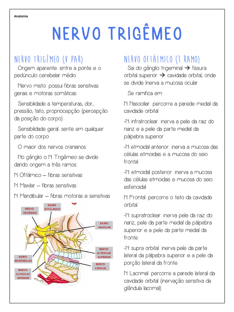Nervo Trigêmeo | Download grátis PDF | Anatomia | Anatomia humana