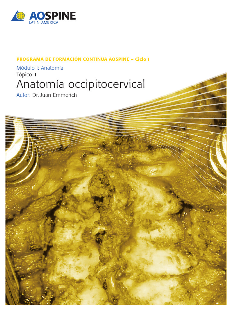 Anatomía Occipitocervical en AOSPINE | PDF | La columna vertebral ...