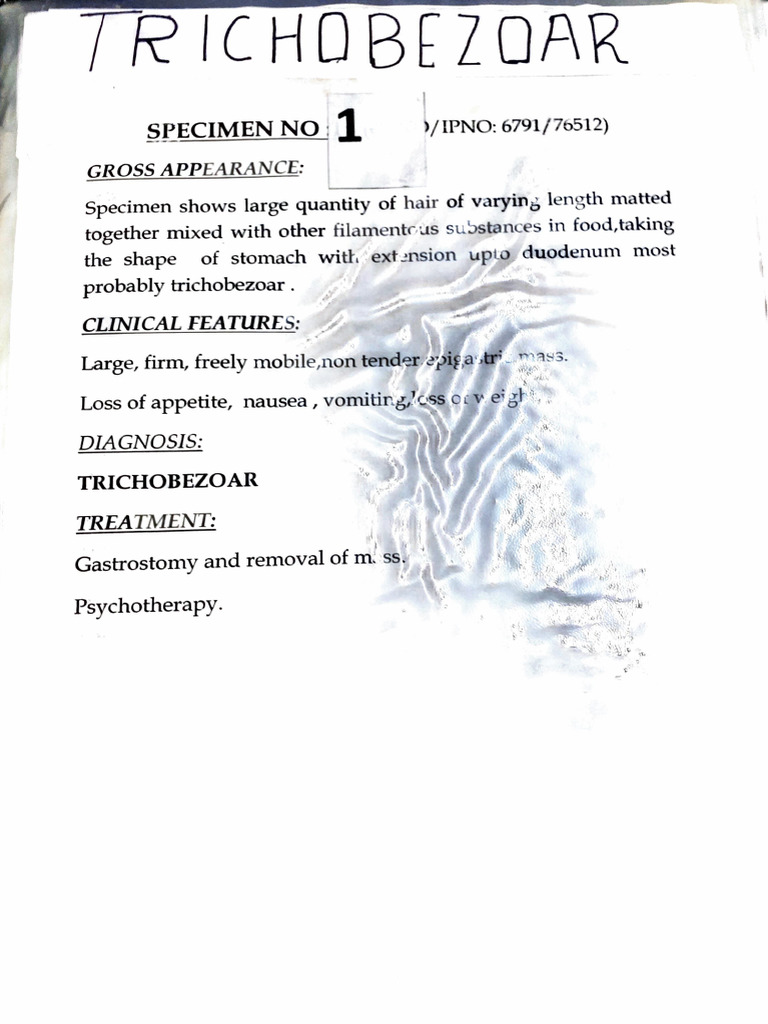 Surgery Specimens | PDF