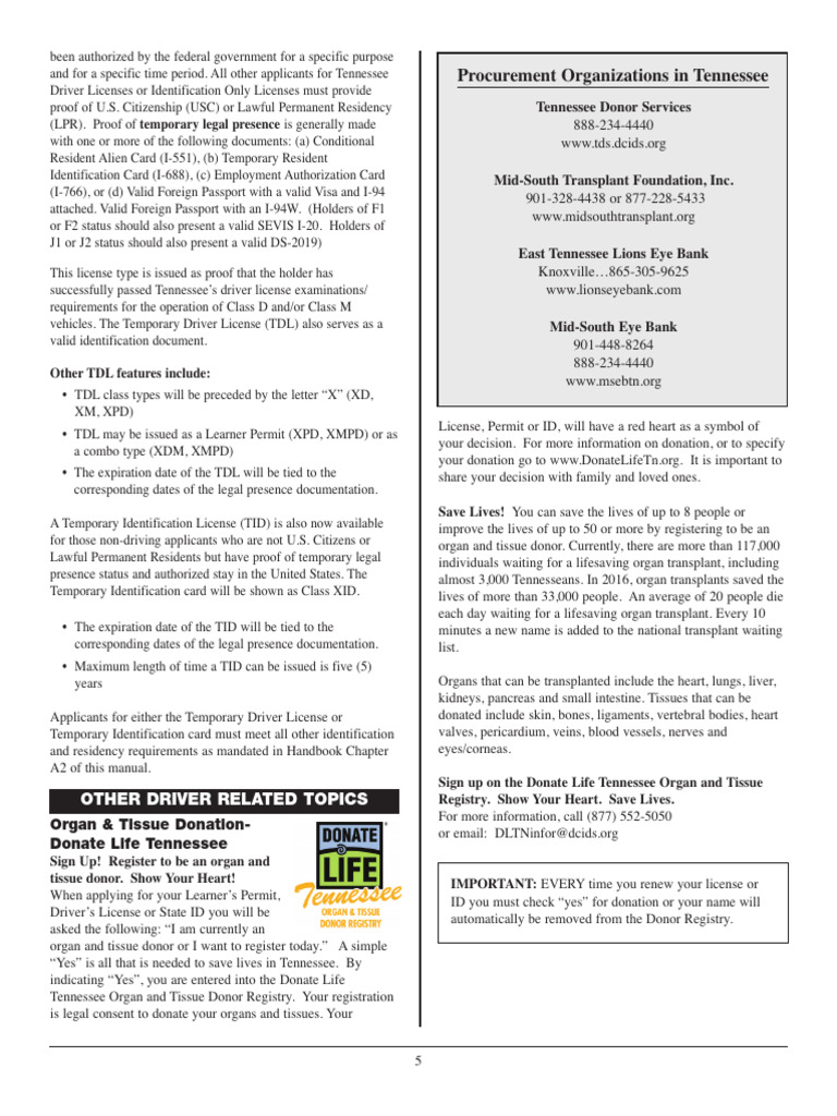 TN - Driver License - Manual 16 | PDF | Driver's License | Organ ...